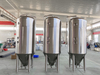 7BBL Fermentation Tank - Buy Product on Carry Brewery Equipment Solutions